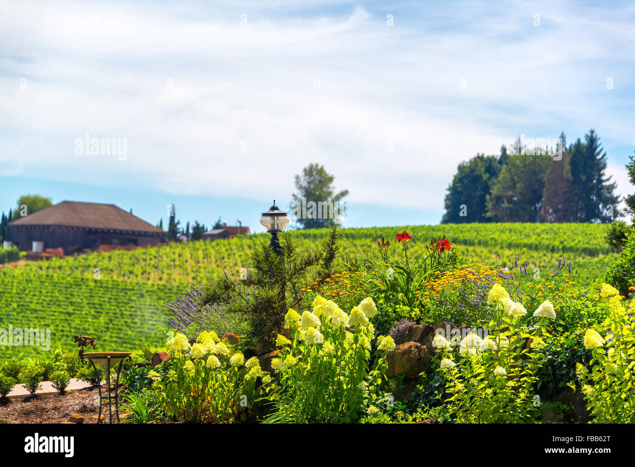Dundee landscape hi-res stock photography and images - Alamy
