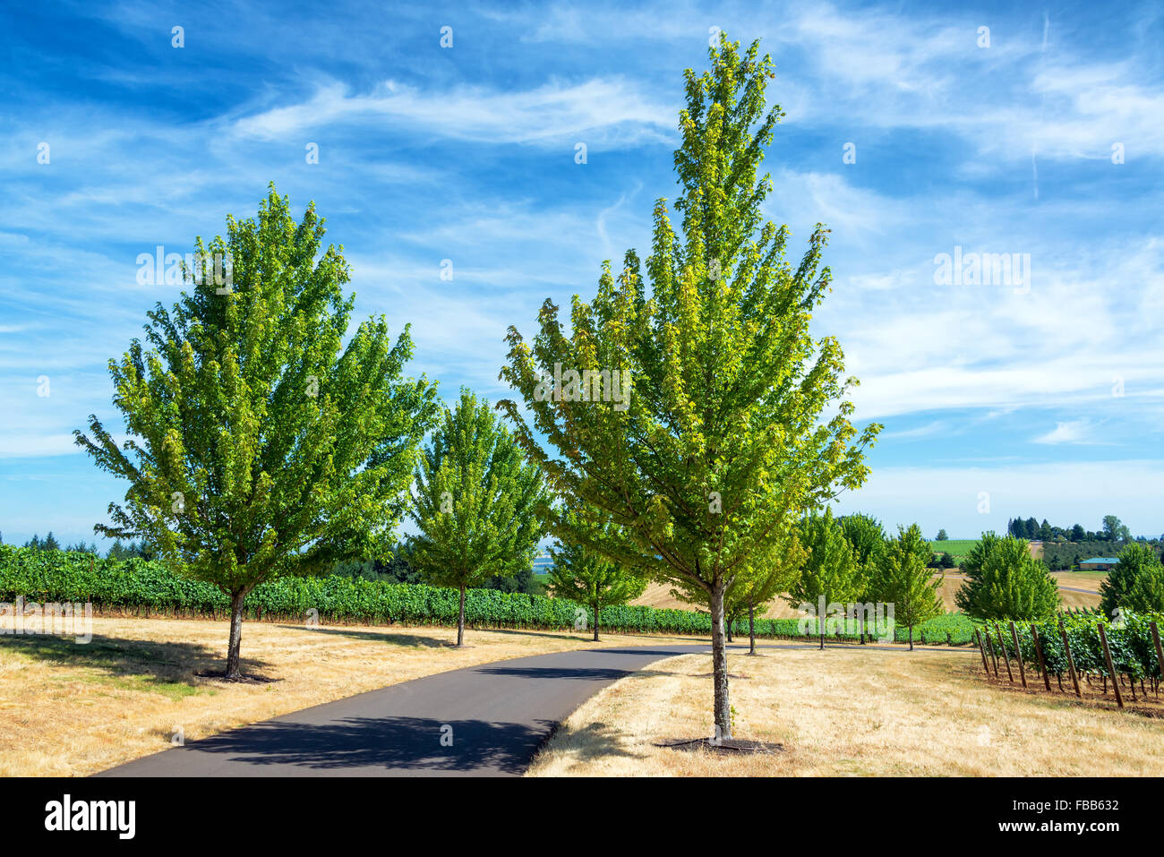 Tree lined hillside hi-res stock photography and images - Alamy