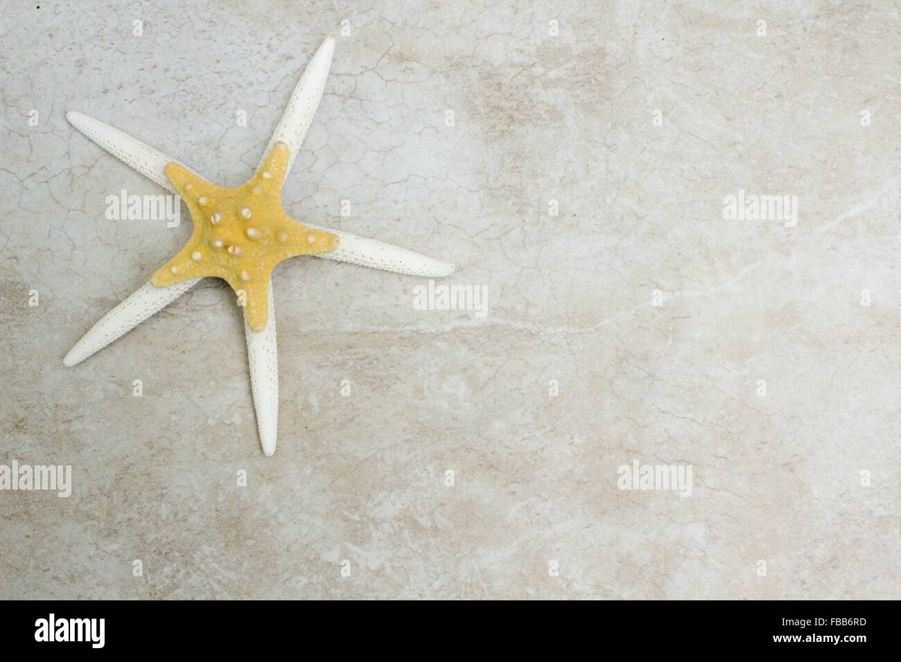 Starfish on a textured background with copy space Stock Photo - Alamy