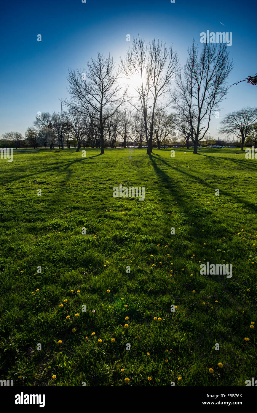 Sun setting beyond trees in early spring with long shadows cast Stock ...
