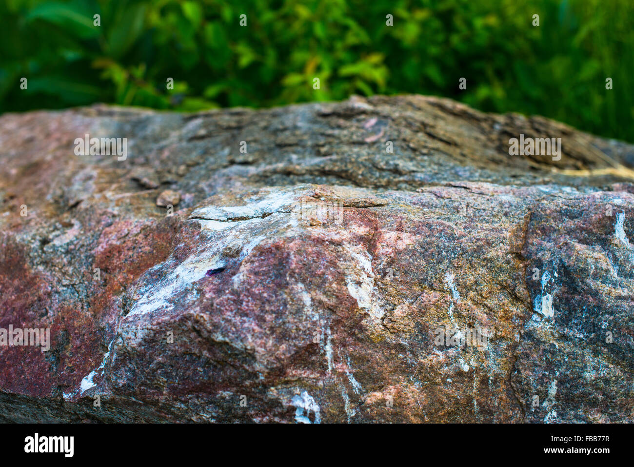 A multi-colored boulder with a leafy green background Stock Photo - Alamy