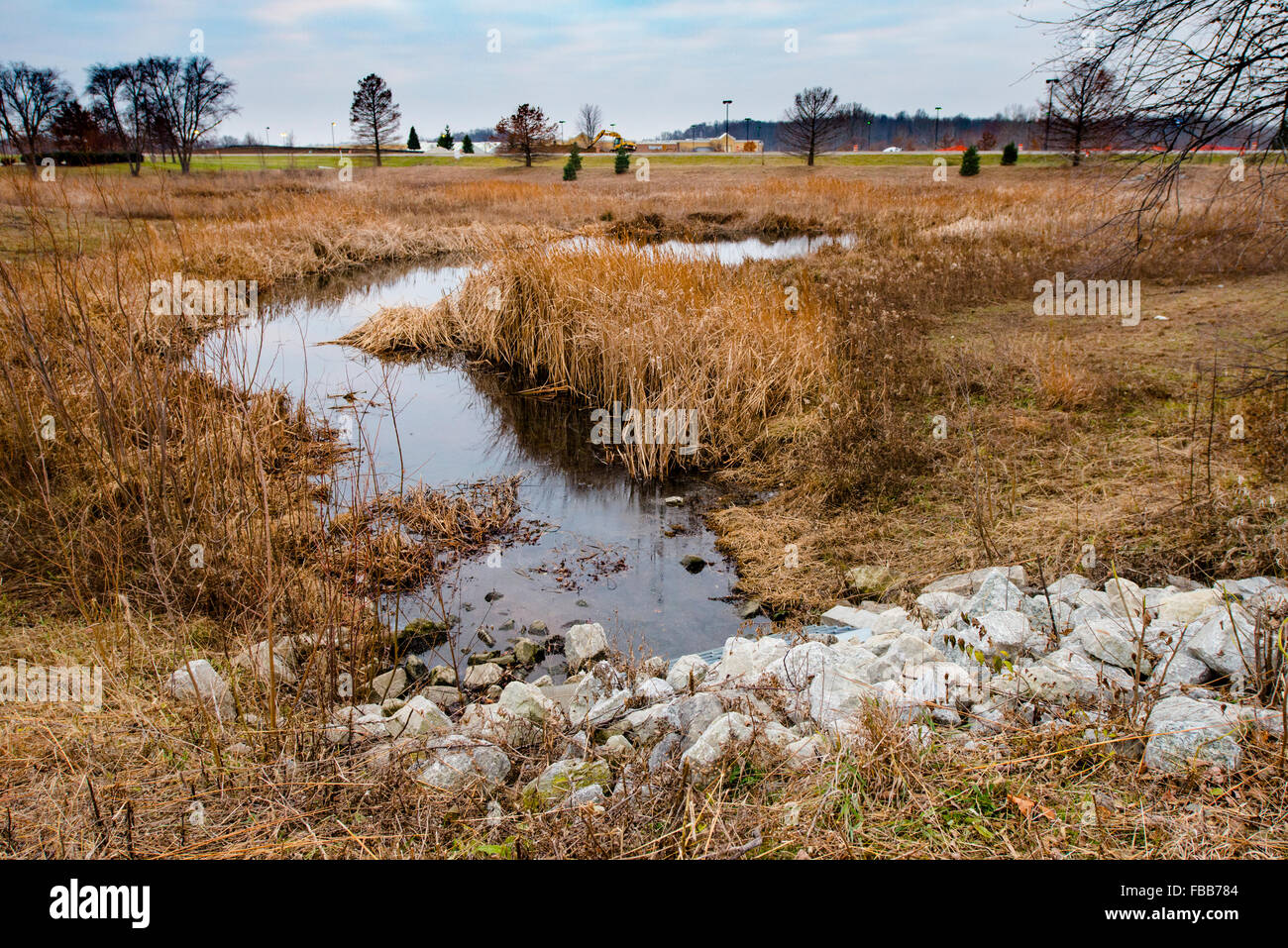 Stream flowing into a protected wetland area in winter Stock Photo - Alamy