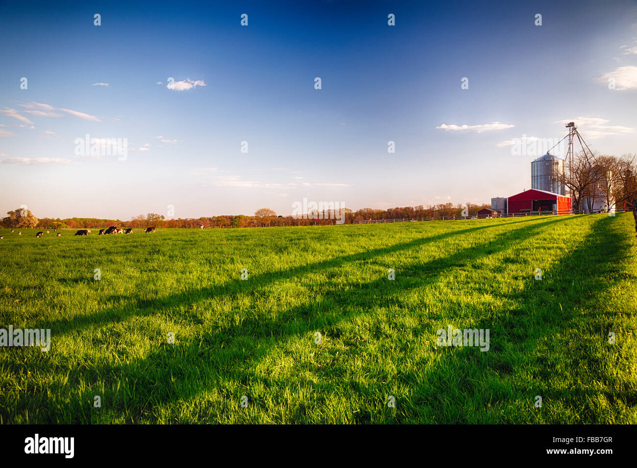Grain tower hi-res stock photography and images - Alamy