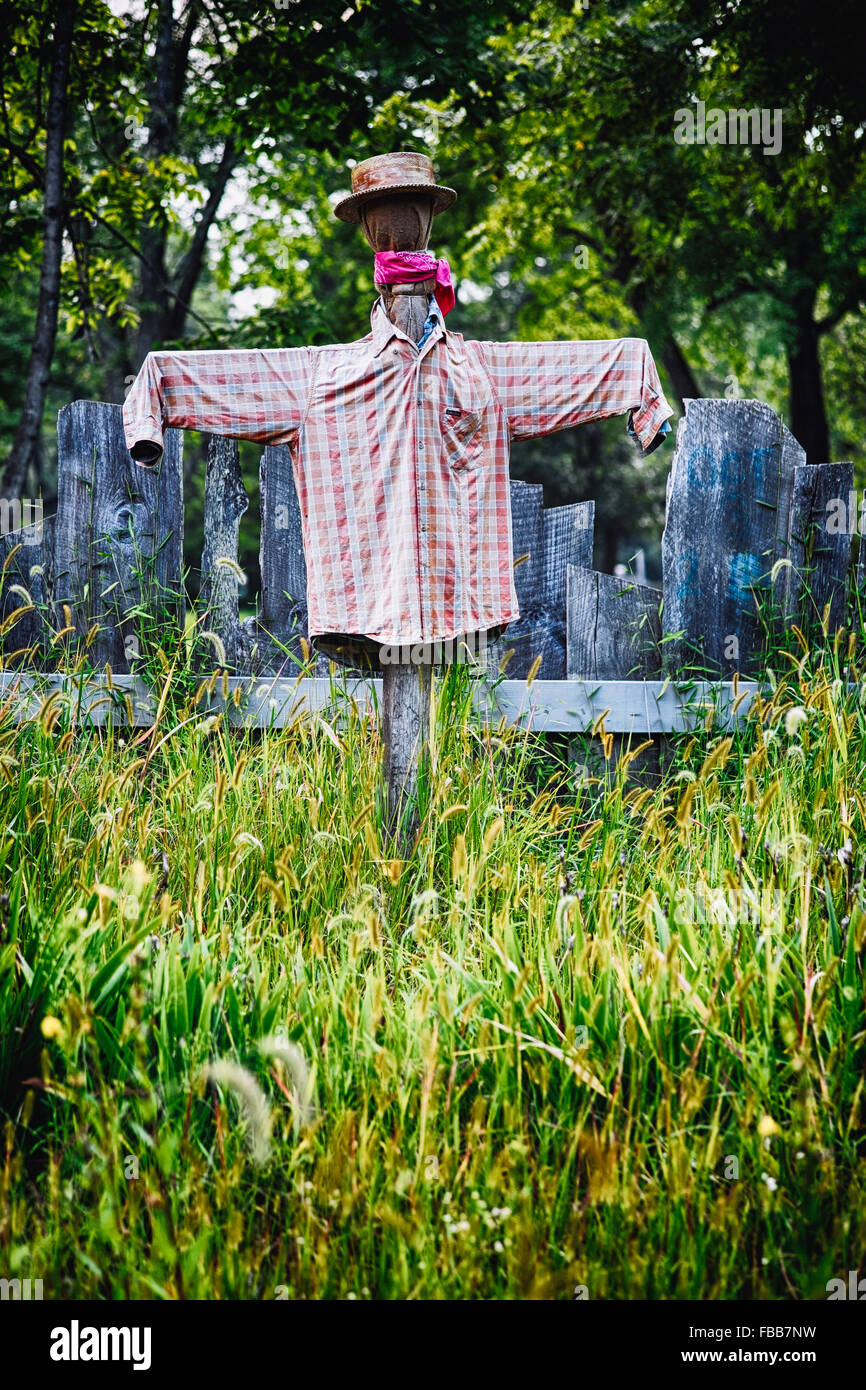 Scarecrows Garden Designs