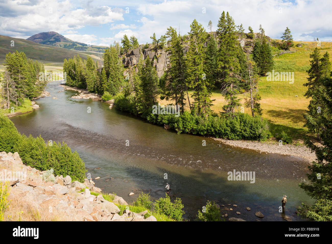Fly fishers work the lamar river in yellowstone national park Stock ...