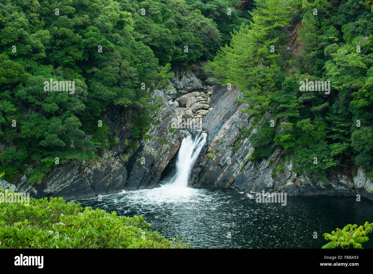 Toroki hi-res stock photography and images - Alamy