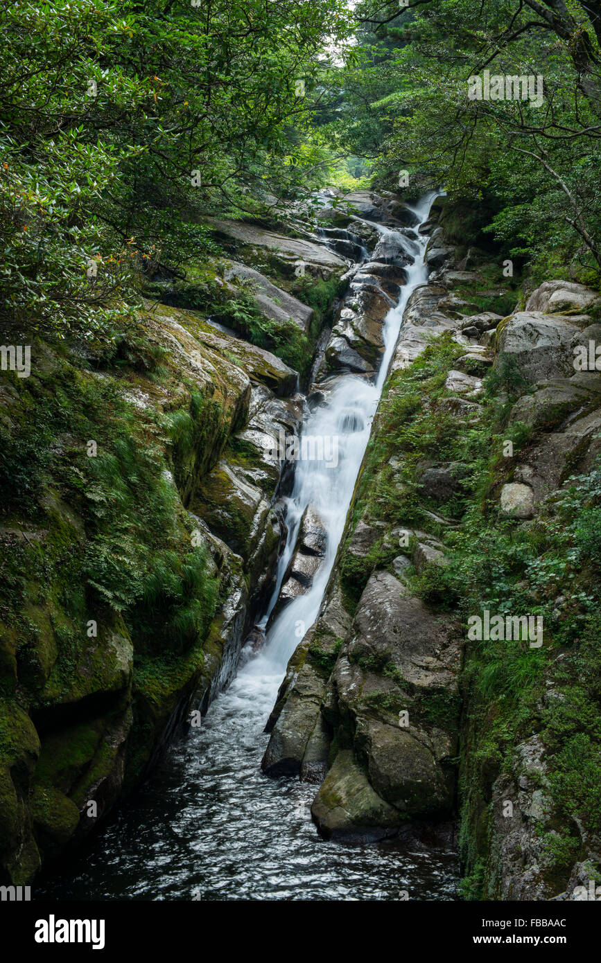 Hiryu hi-res stock photography and images - Alamy