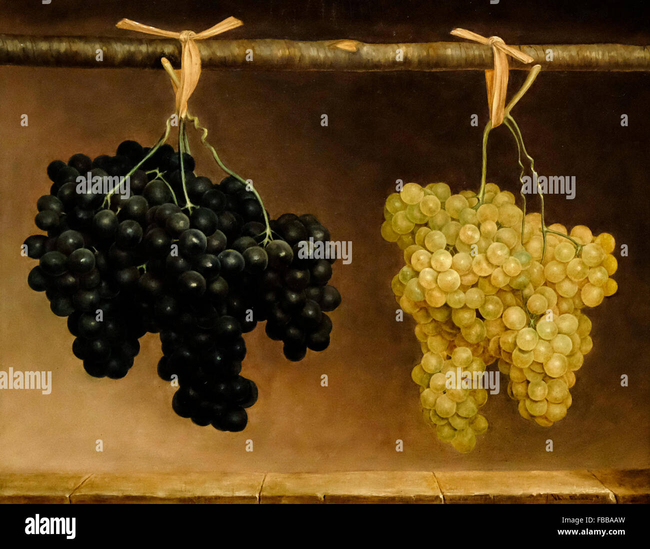 Green and Concord Grapes - Van Doorn - circa 1850 Stock Photo - Alamy