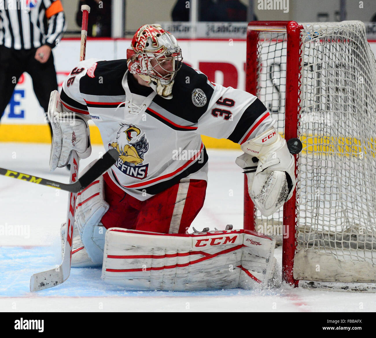 Grand Rapids Griffins G Jake Paterson (36) during the AHL game between ...
