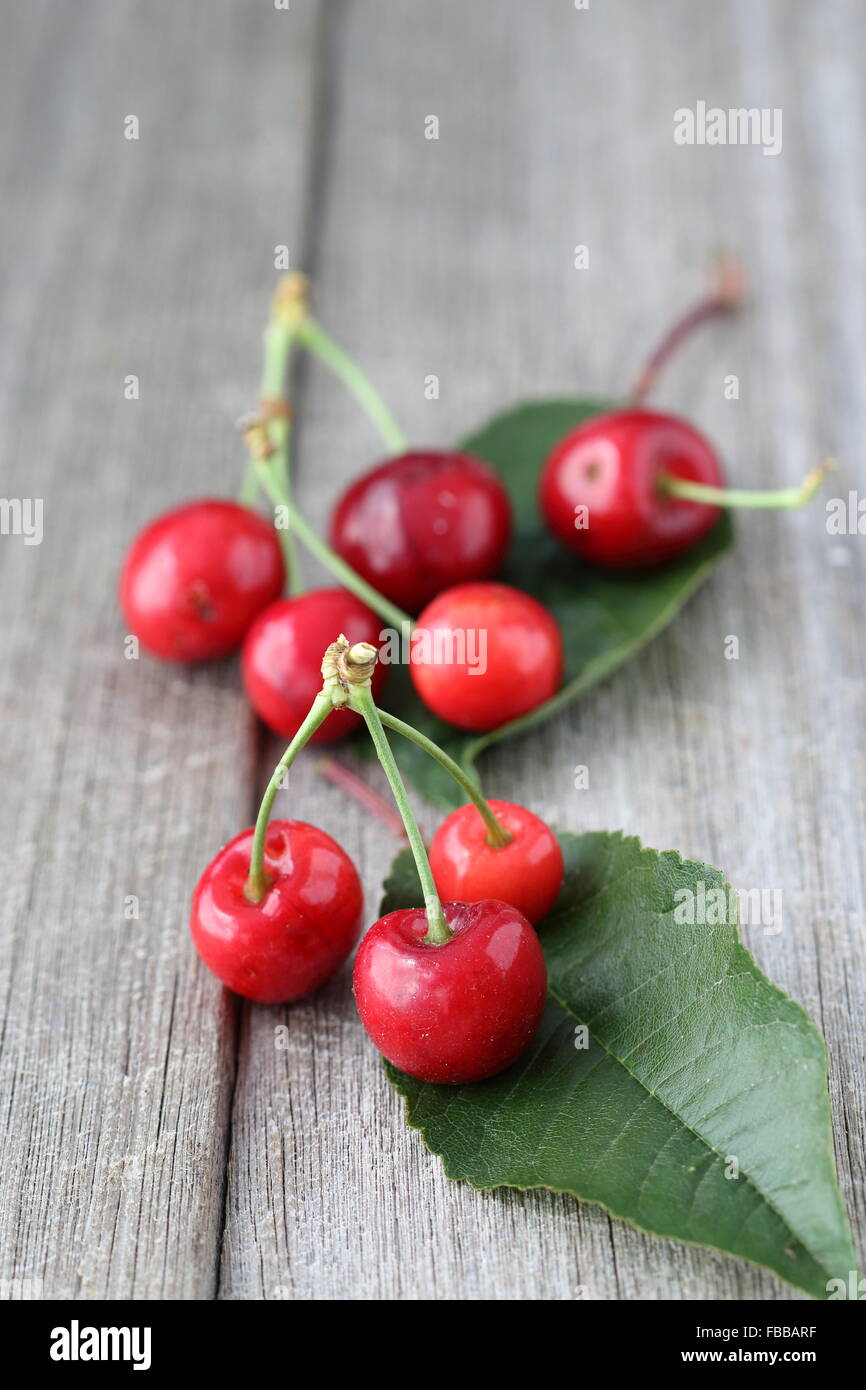 Lapin cherries hi-res stock photography and images - Alamy
