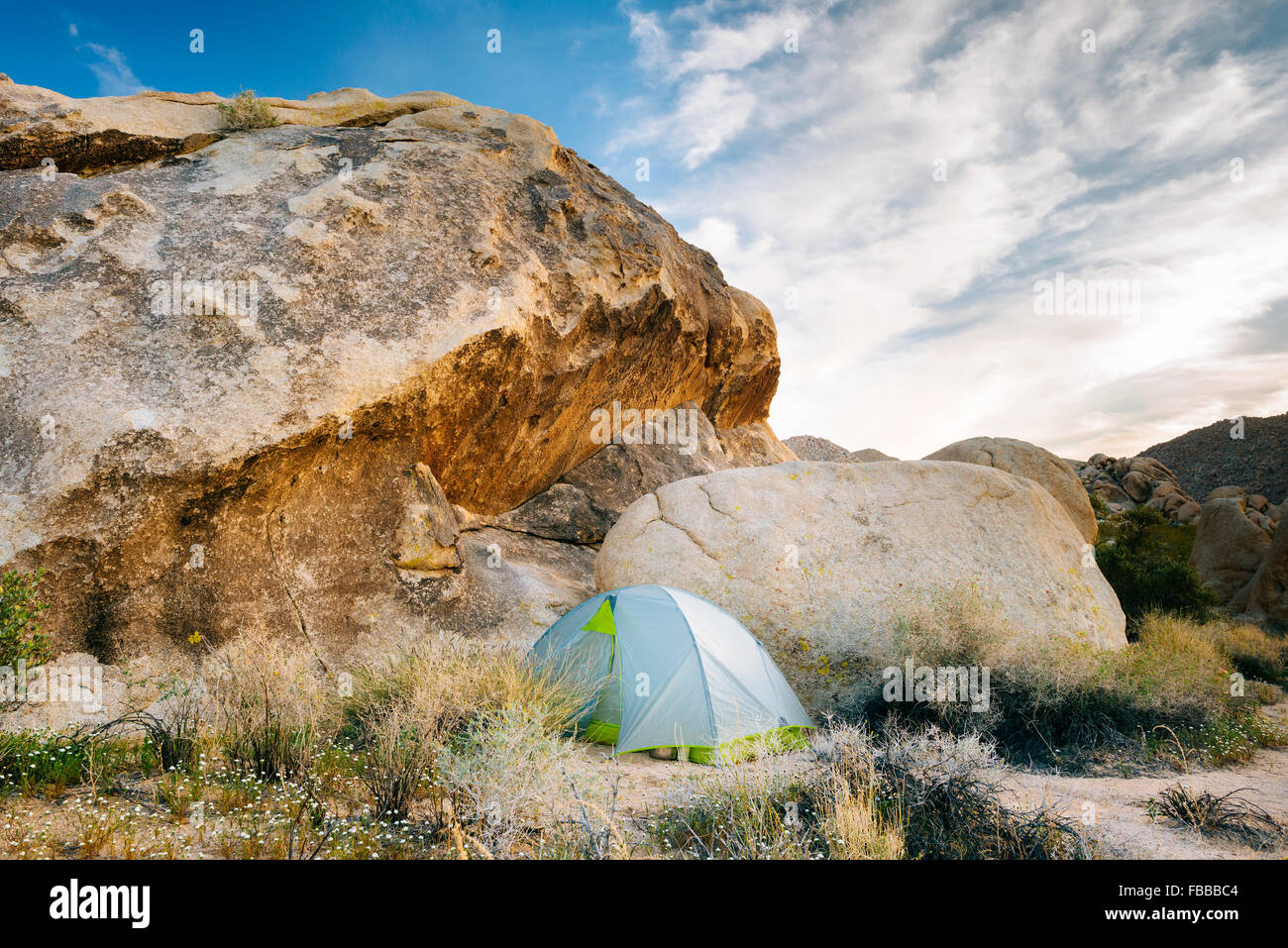 Camping along the Boy Scout Trail in the Wonderland of Rocks, Joshua ...
