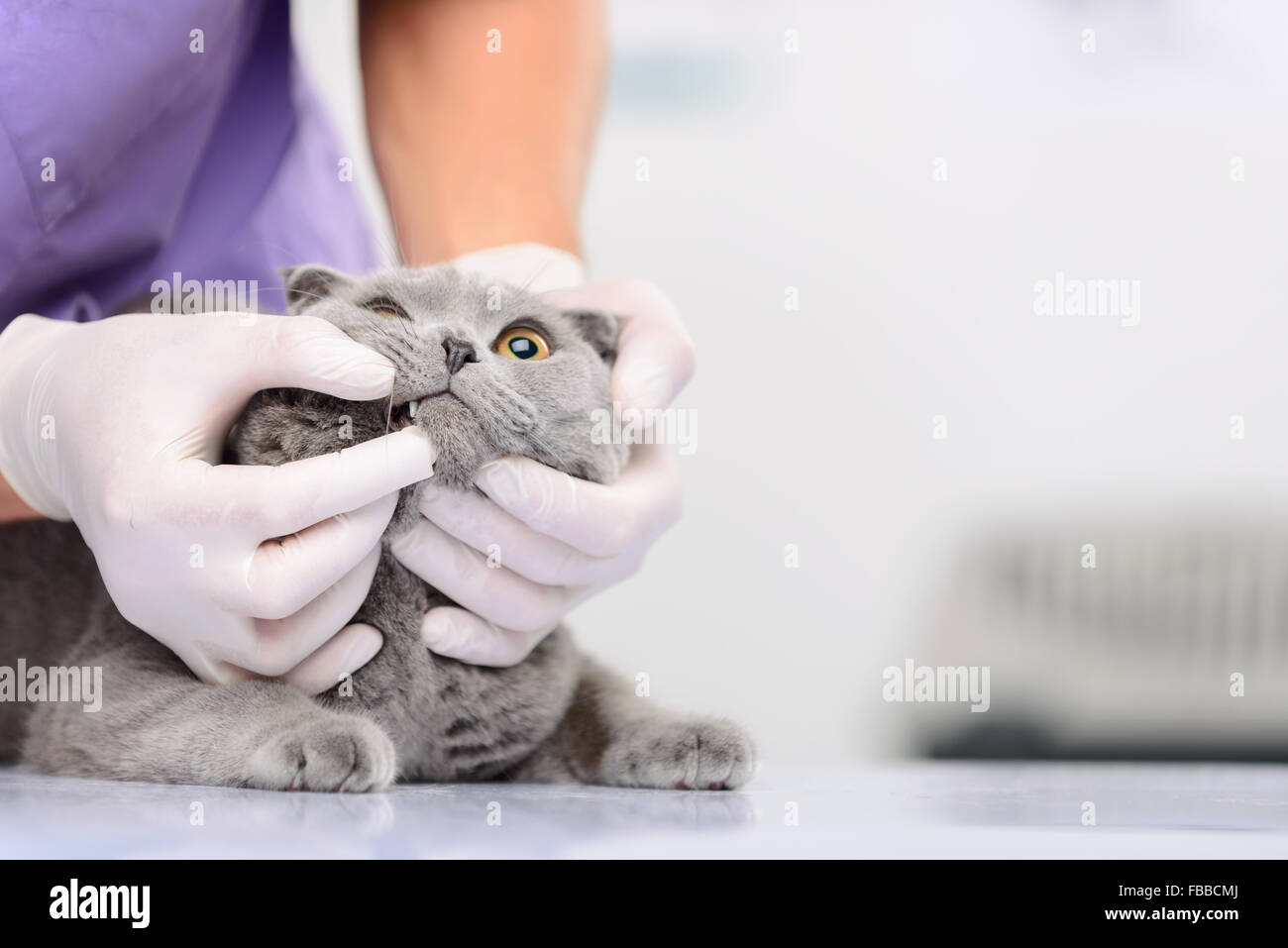 Positive male worker examining hi-res stock photography and images - Alamy