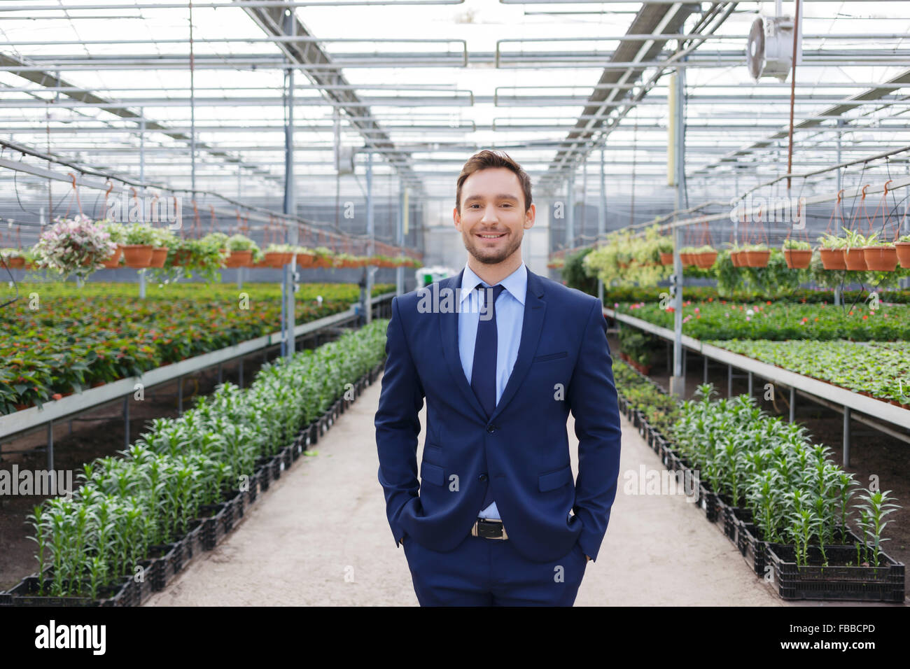 Pleasant greenhouse owner controlling his business Stock Photo - Alamy
