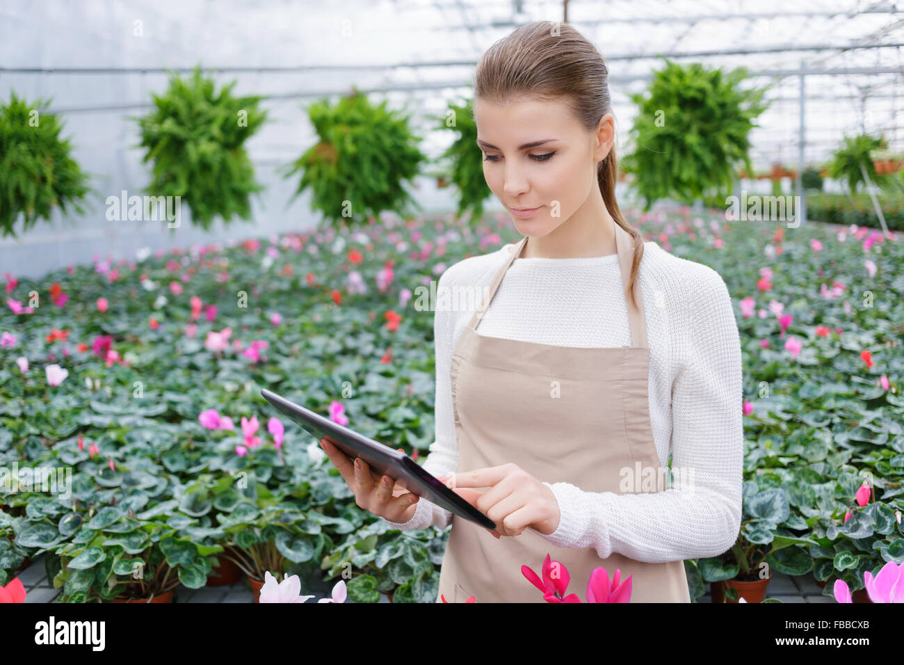Positive florist working in the greenhouse Stock Photo - Alamy