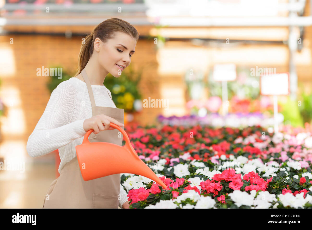 Pleasant flowers hi-res stock photography and images - Alamy
