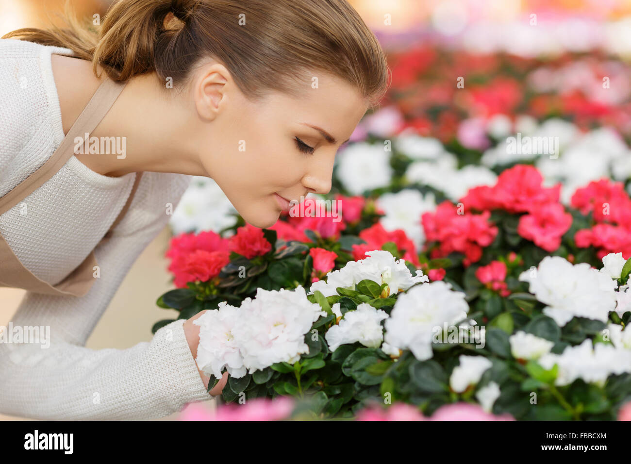 Charming florist smelling flowers Stock Photo - Alamy