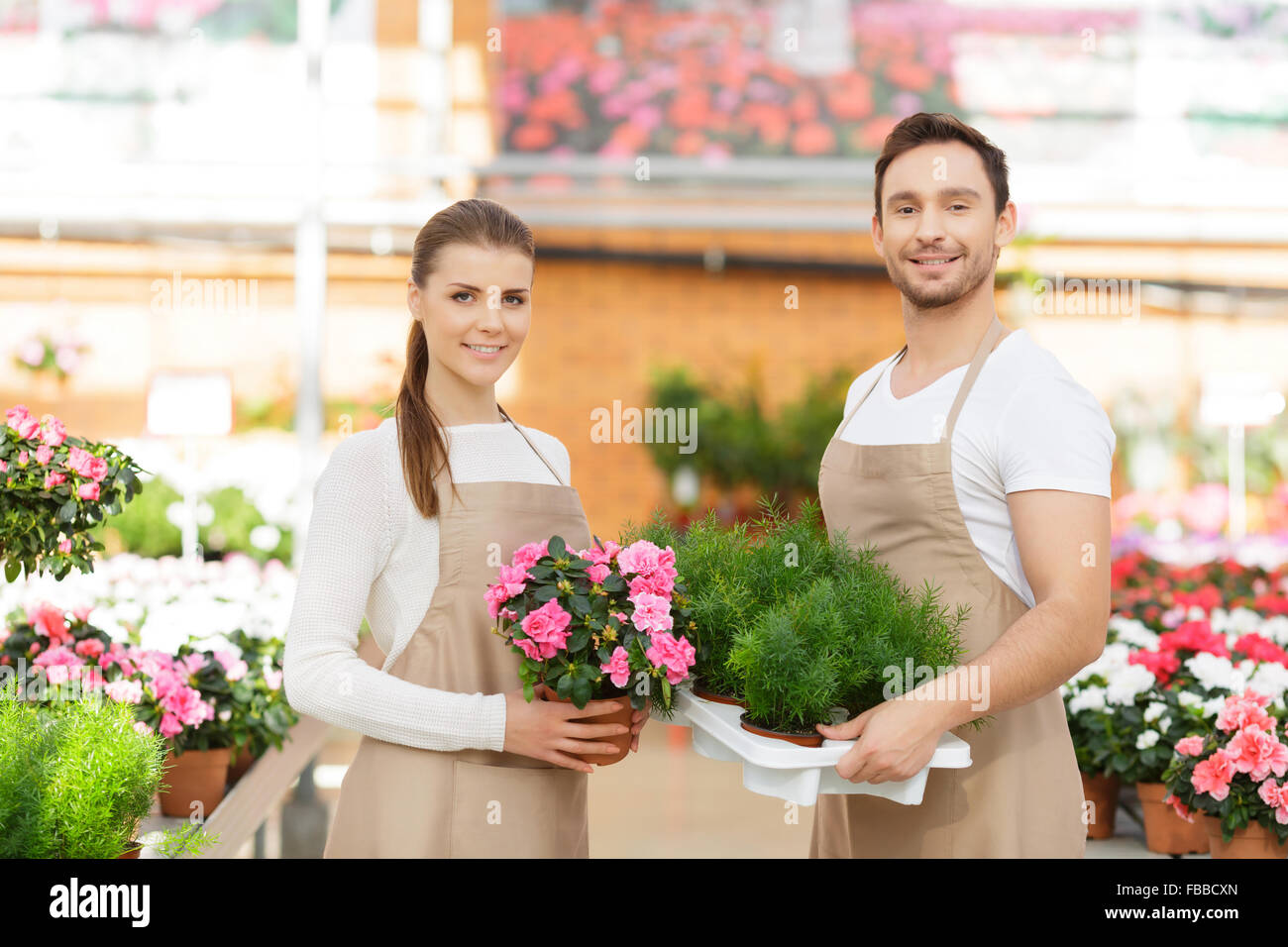 Positive florists working together Stock Photo - Alamy