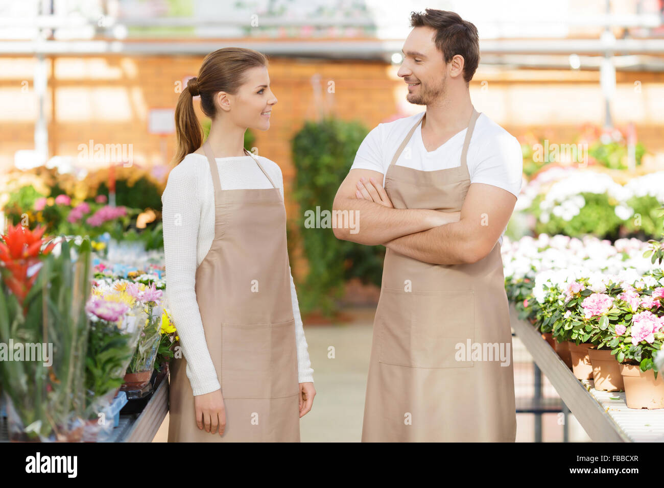 Nice flowers having conversation Stock Photo - Alamy