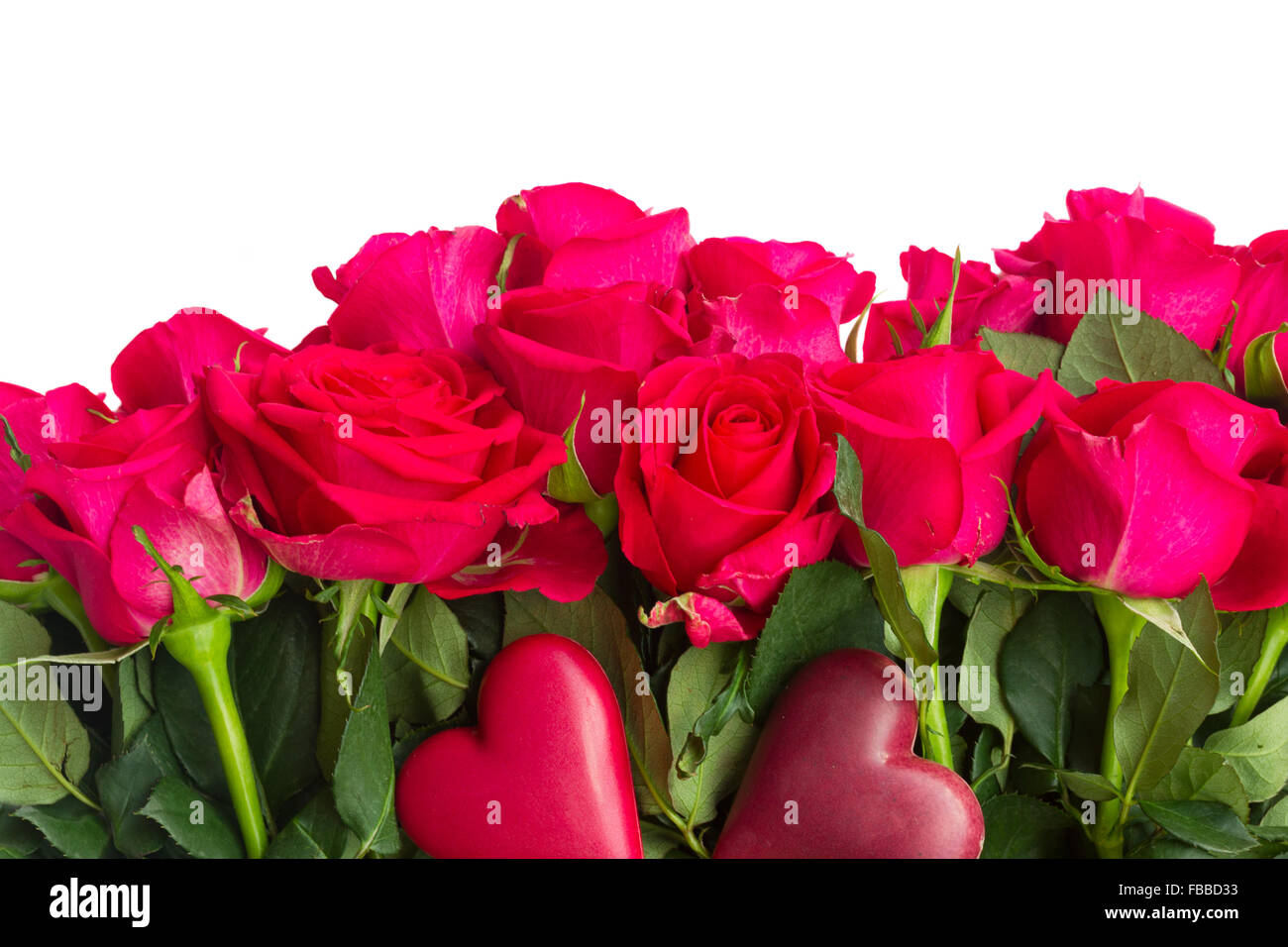 two scarlet red roses Stock Photo - Alamy
