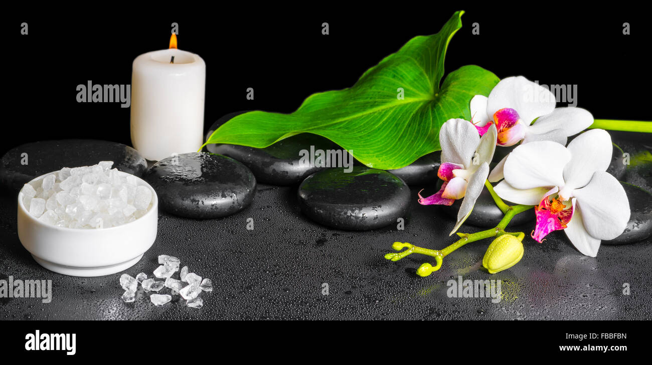 beautiful spa background of white orchid flower, phalaenopsis, green ...