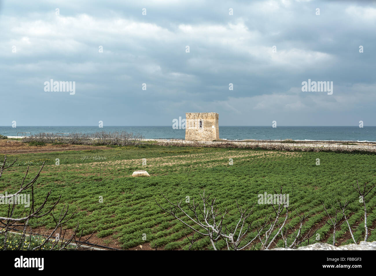 Typical landscape on the eastern seaside in Puglia region, Italy Stock ...