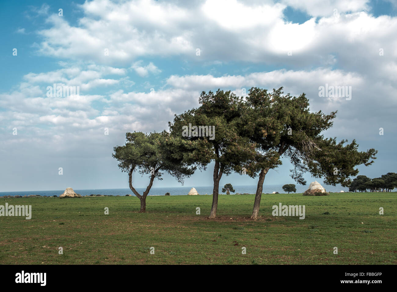 Puglia landscape italy hi-res stock photography and images - Alamy