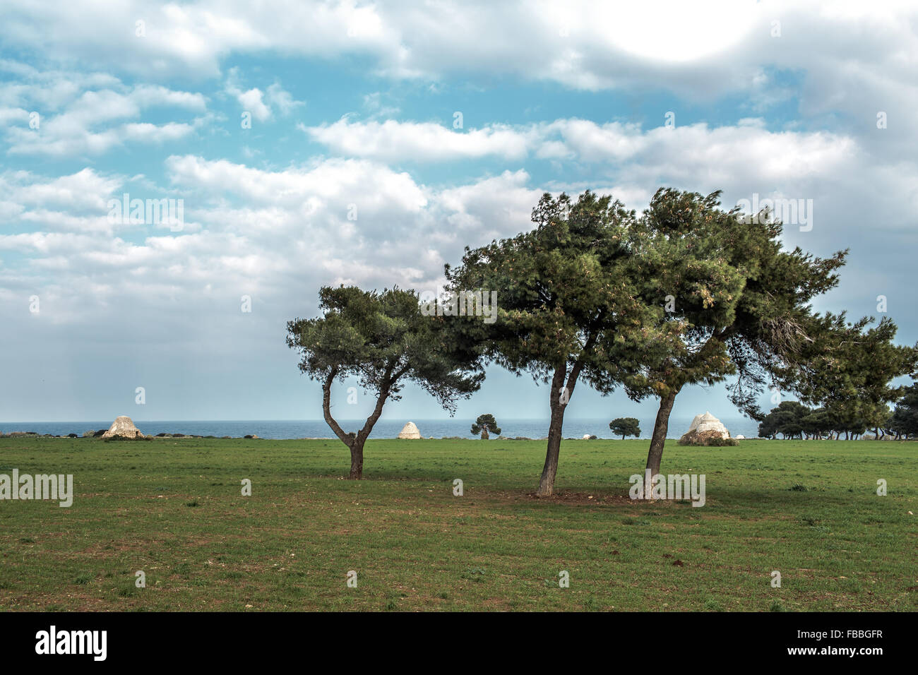 Typical landscape on the eastern seaside in Puglia region, Italy Stock ...