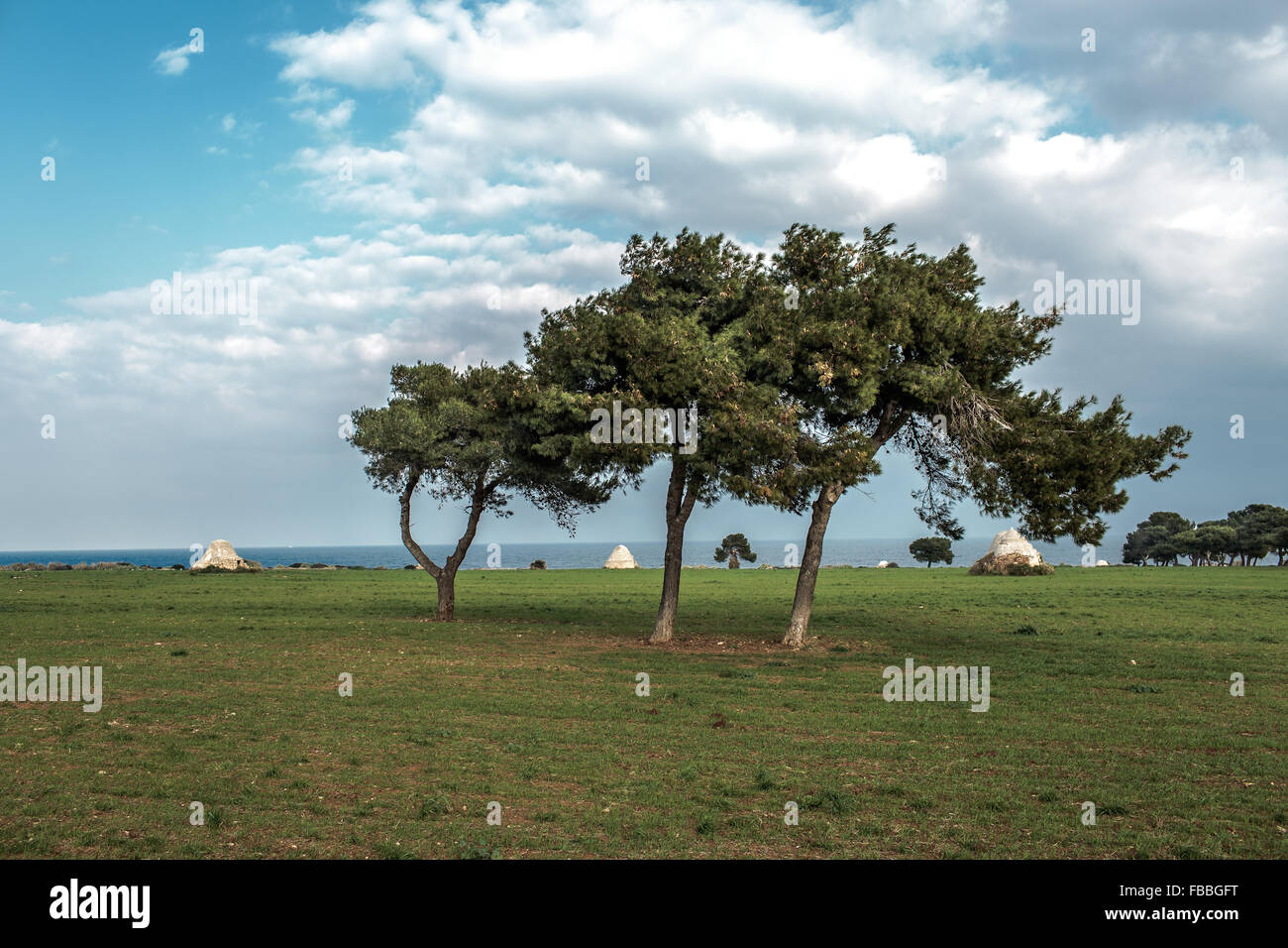 Typical landscape on the eastern seaside in Puglia region, Italy Stock ...