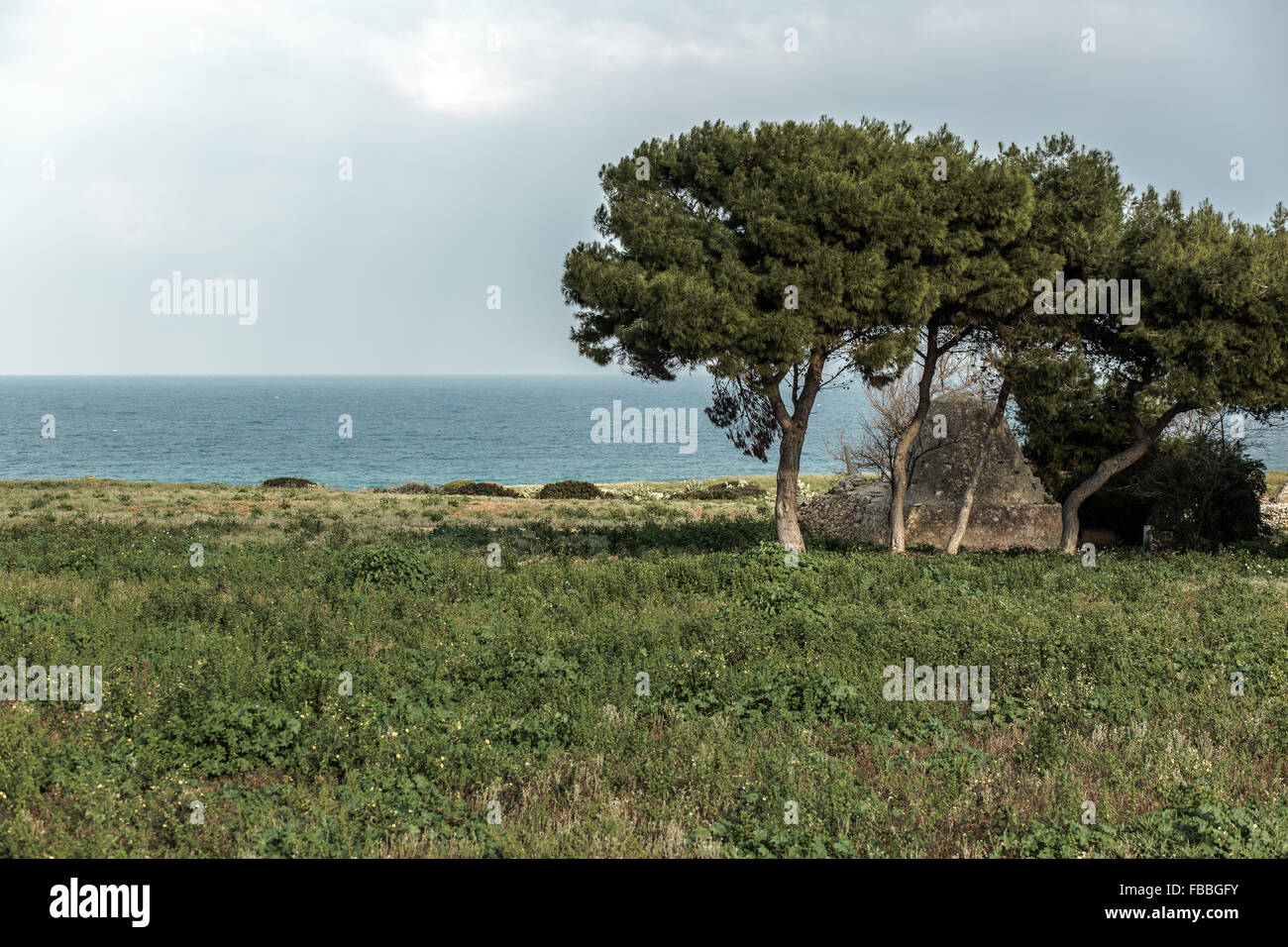 Typical landscape on the eastern seaside in Puglia region, Italy Stock ...