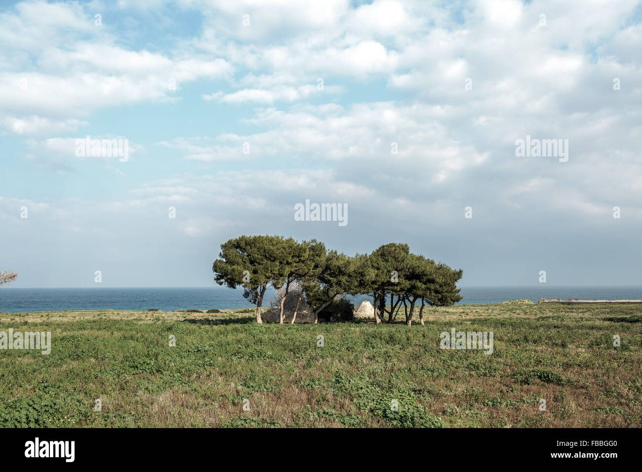 Typical landscape on the eastern seaside in Puglia region, Italy Stock ...