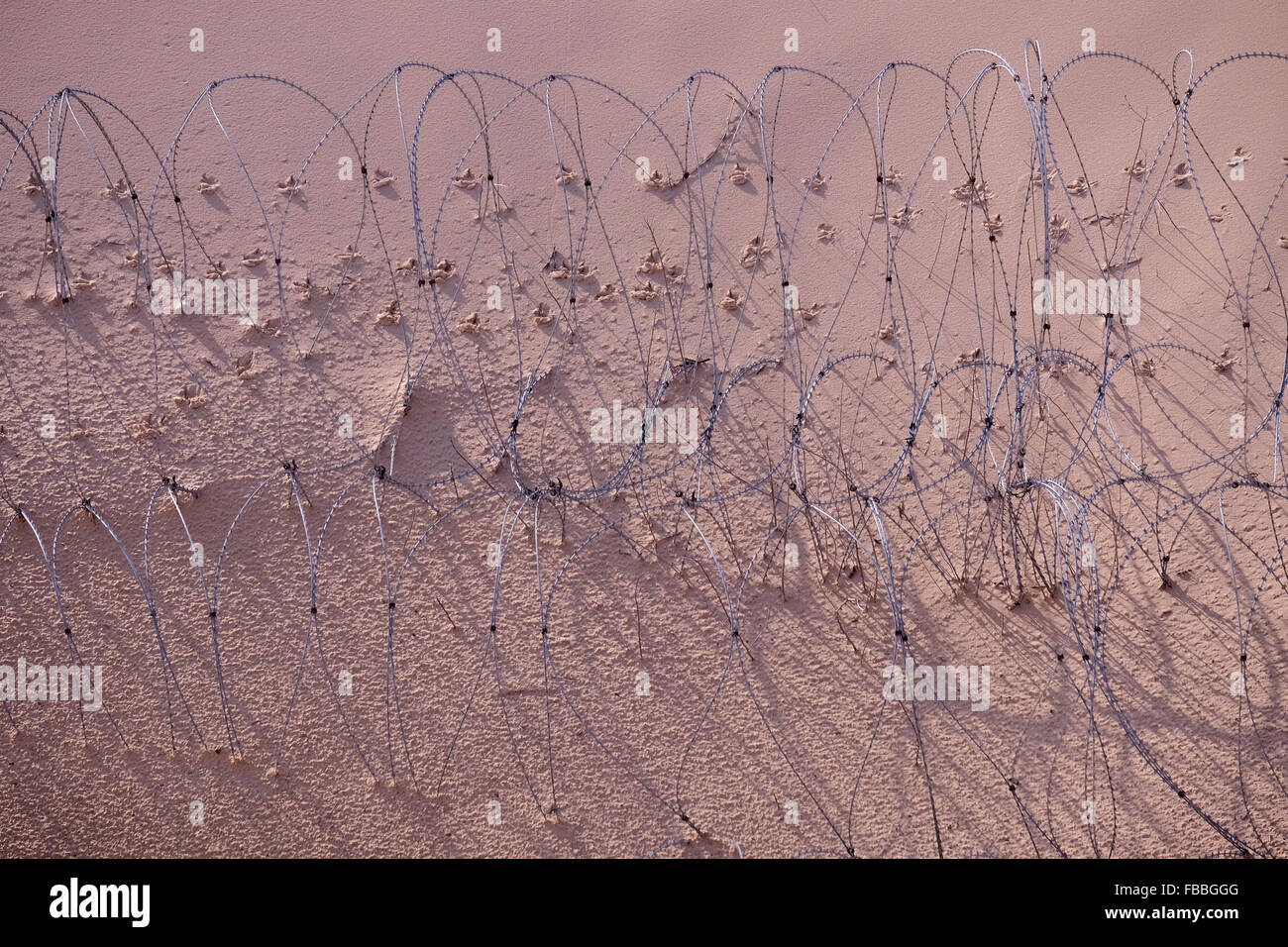 Coiled barbed wire fence at the Israeli border with the northern Gaza ...
