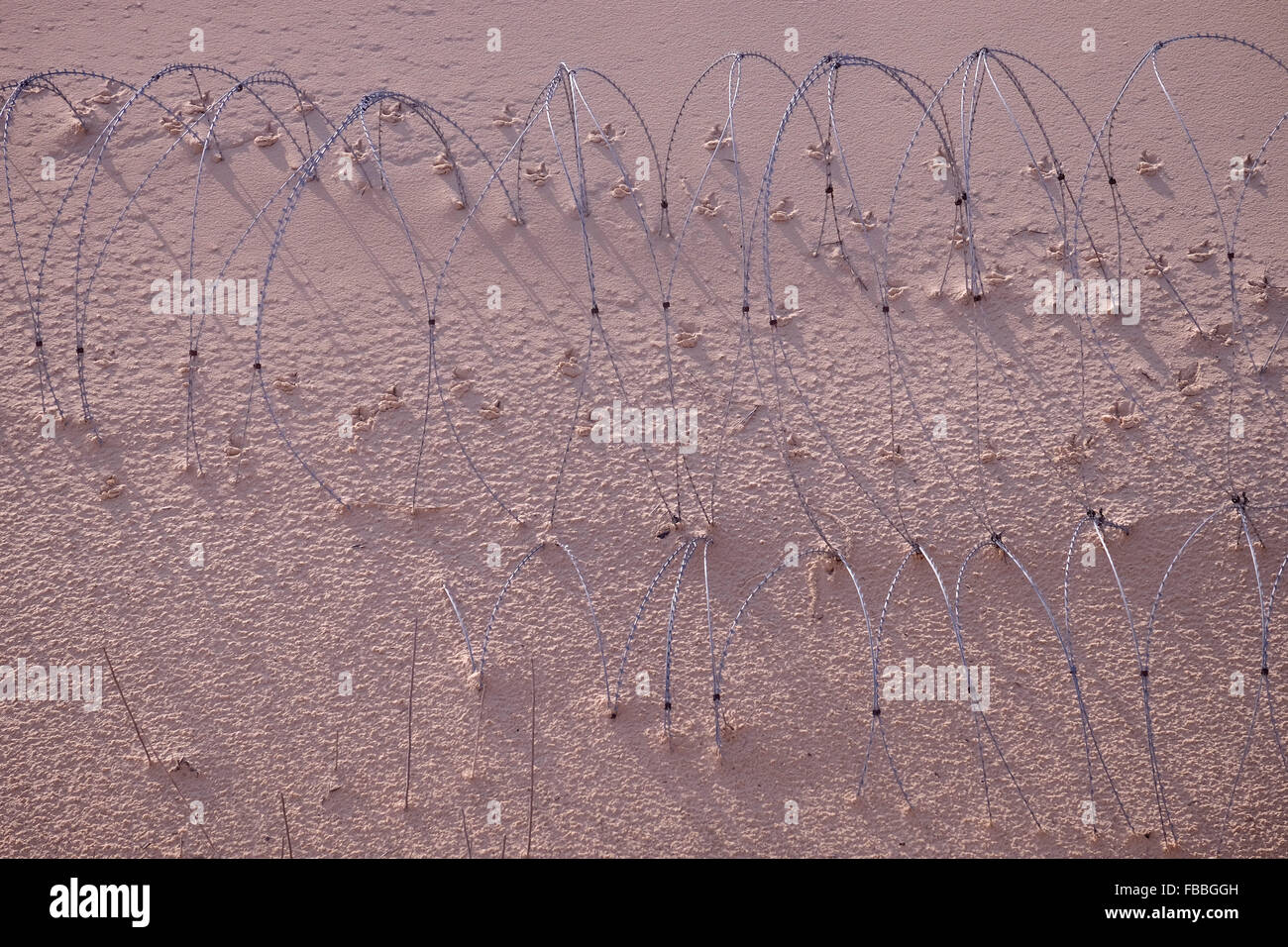 Coiled barbed wire fence at the Israeli border with the northern Gaza ...