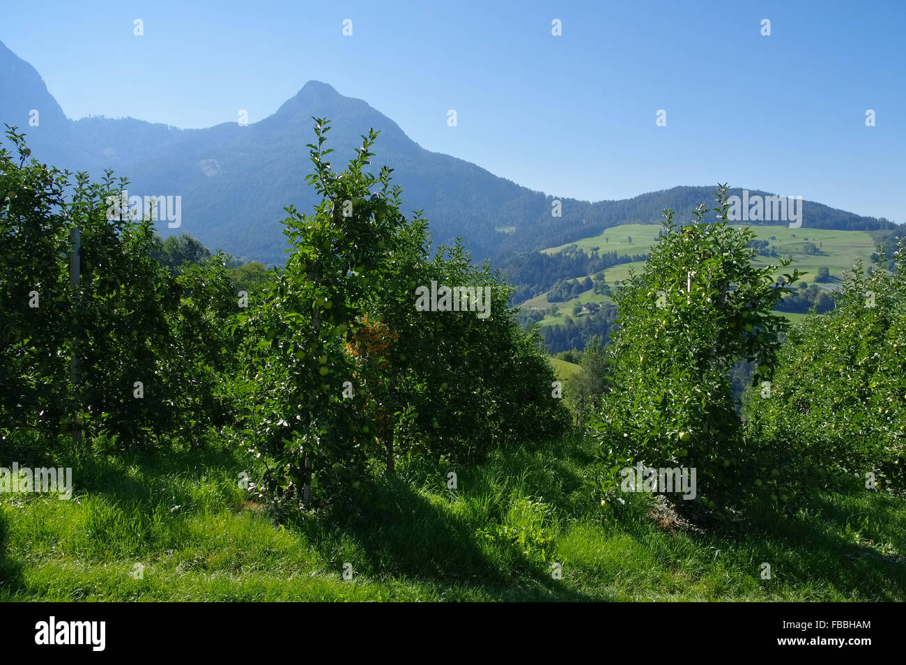 Eisacktal - Eisack valley 05 Stock Photo - Alamy