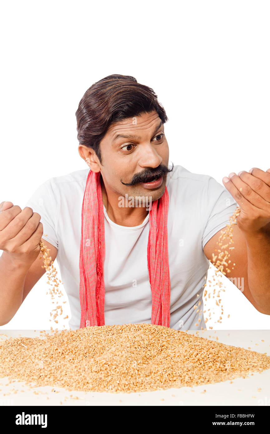 1 indian rural farmer man Sitting Grain Wheat Quality Checking Stock ...