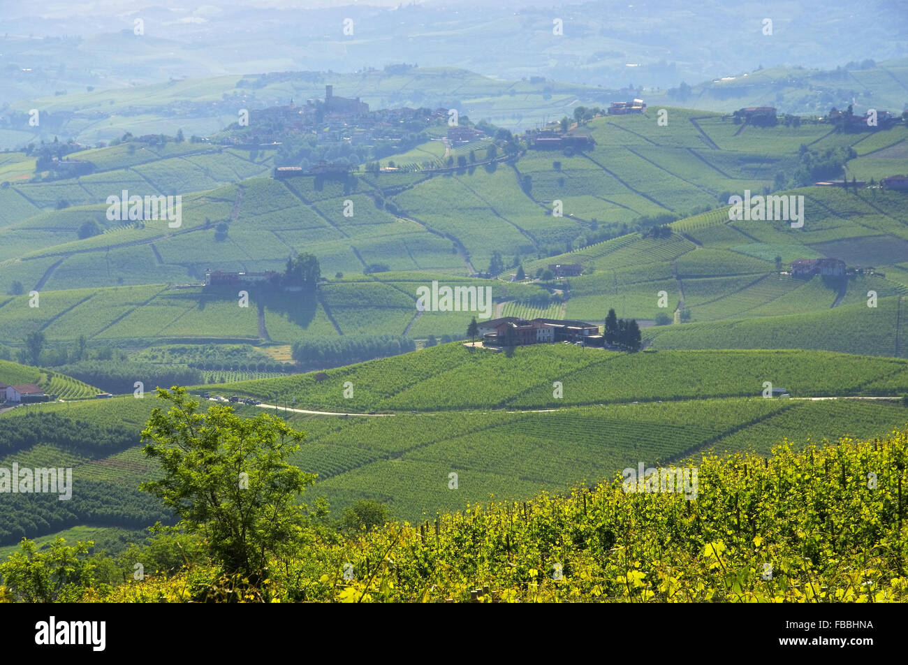 Langhe hi-res stock photography and images - Alamy