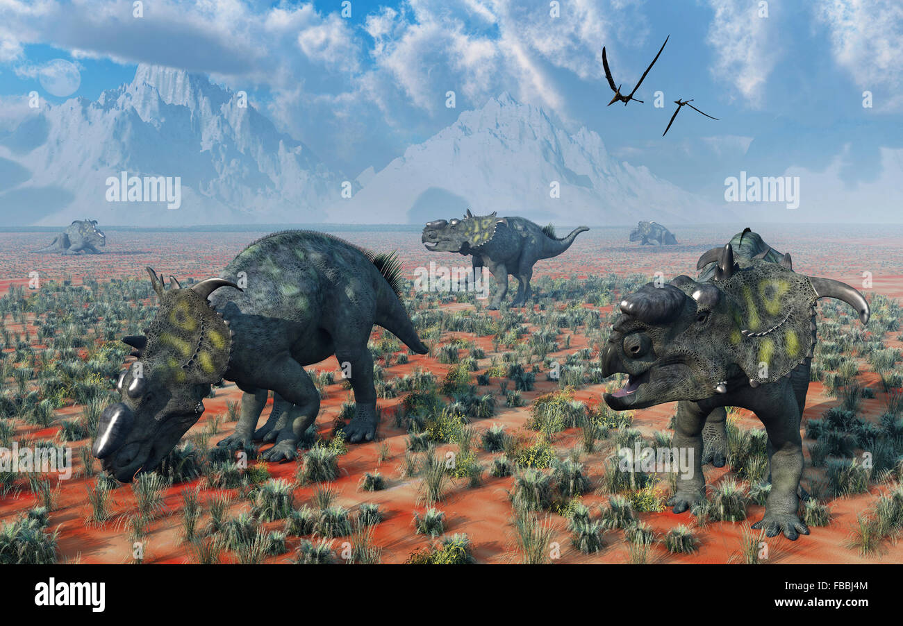 Pachyrhinosaurus hi-res stock photography and images - Alamy