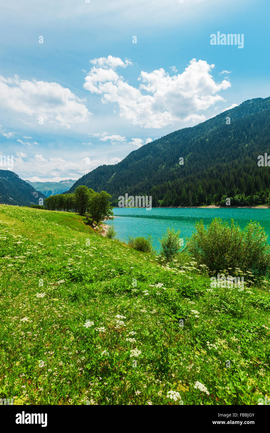 Typical European Alpine landscape, pastures and mountains Stock Photo ...