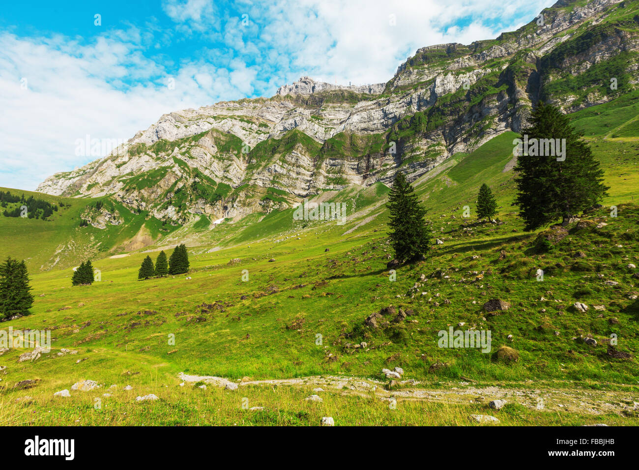 Typical European Alpine landscape, pastures and mountains Stock Photo ...