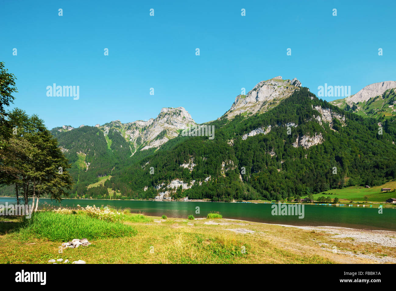 Beautiful summer Alpine mountain lake Stock Photo - Alamy