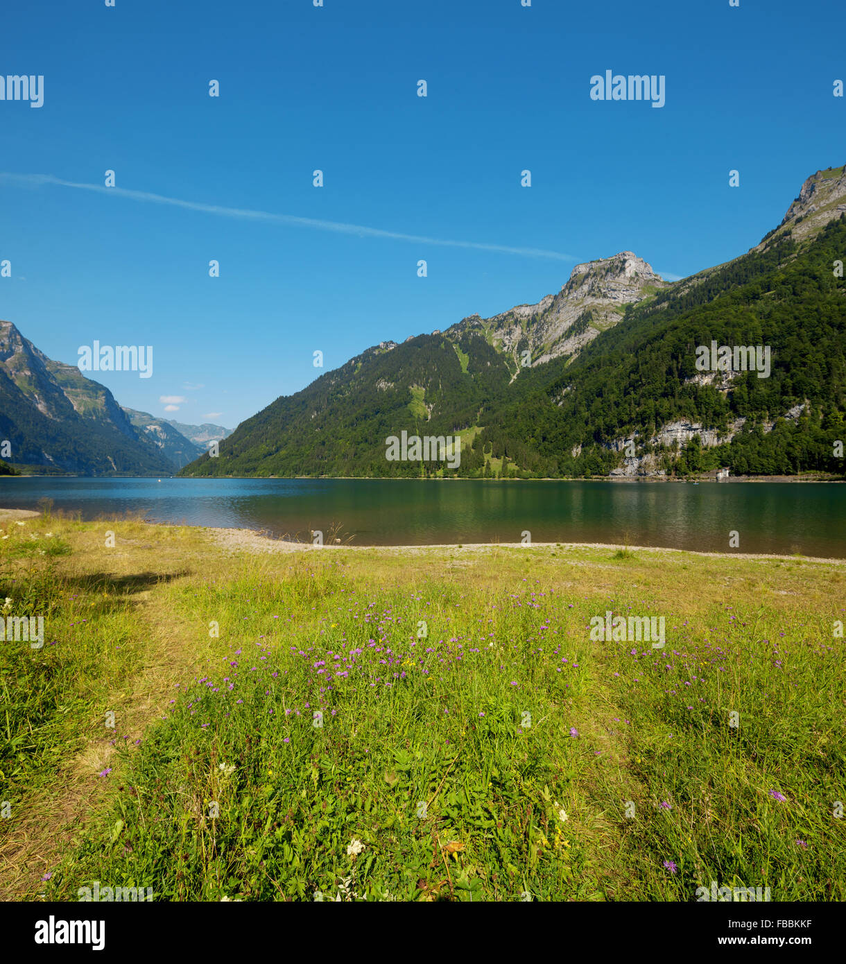 Beautiful summer Alpine mountain lake Stock Photo - Alamy