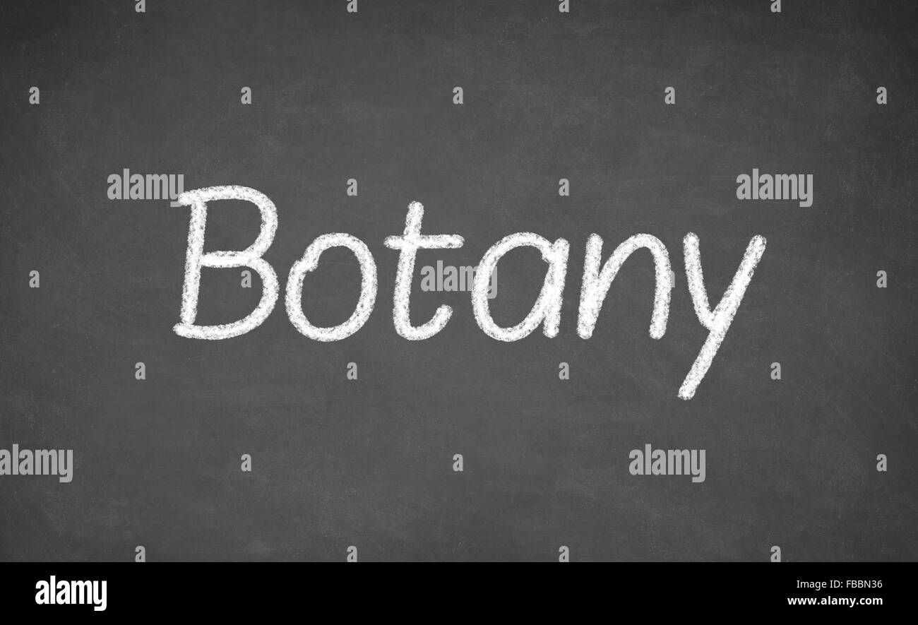 Botany lesson Black and White Stock Photos & Images - Alamy