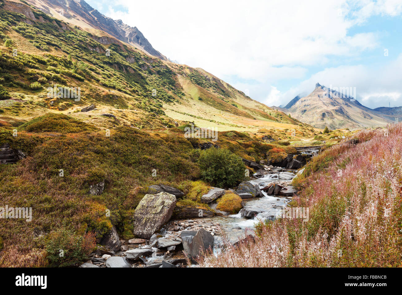 Swiss Alpine Landscape, stream Stock Photo - Alamy
