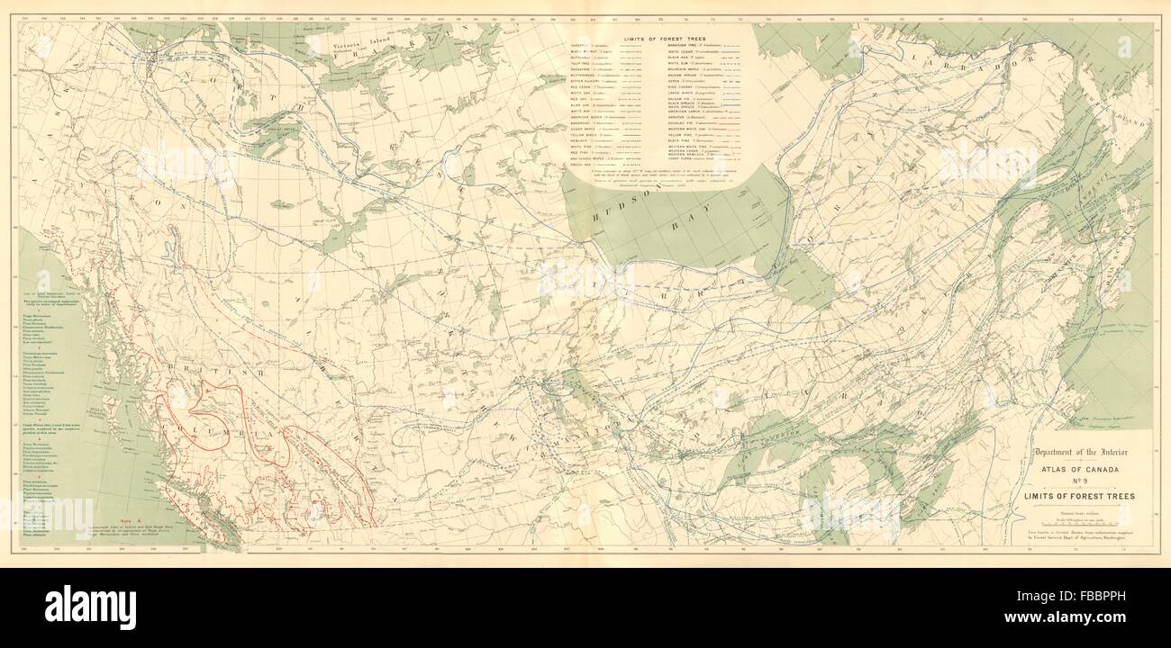 Map of white pine hi-res stock photography and images - Alamy