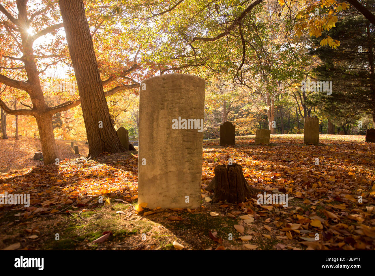 Old graveyard cemetery with headstone on fall day Stock Photo - Alamy