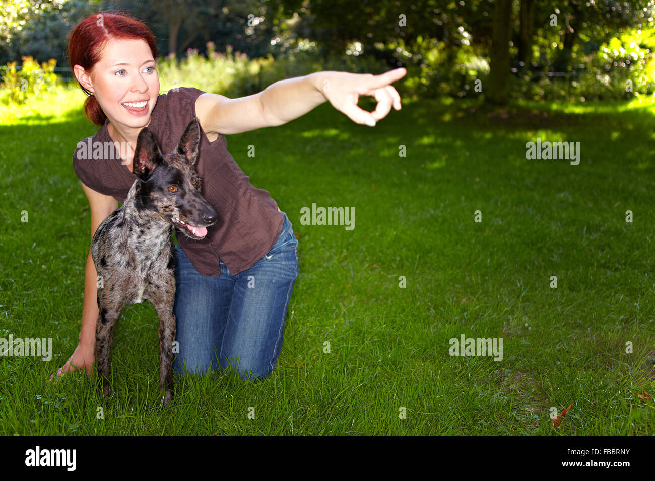 Woman teaching her dog to fetch things Stock Photo - Alamy
