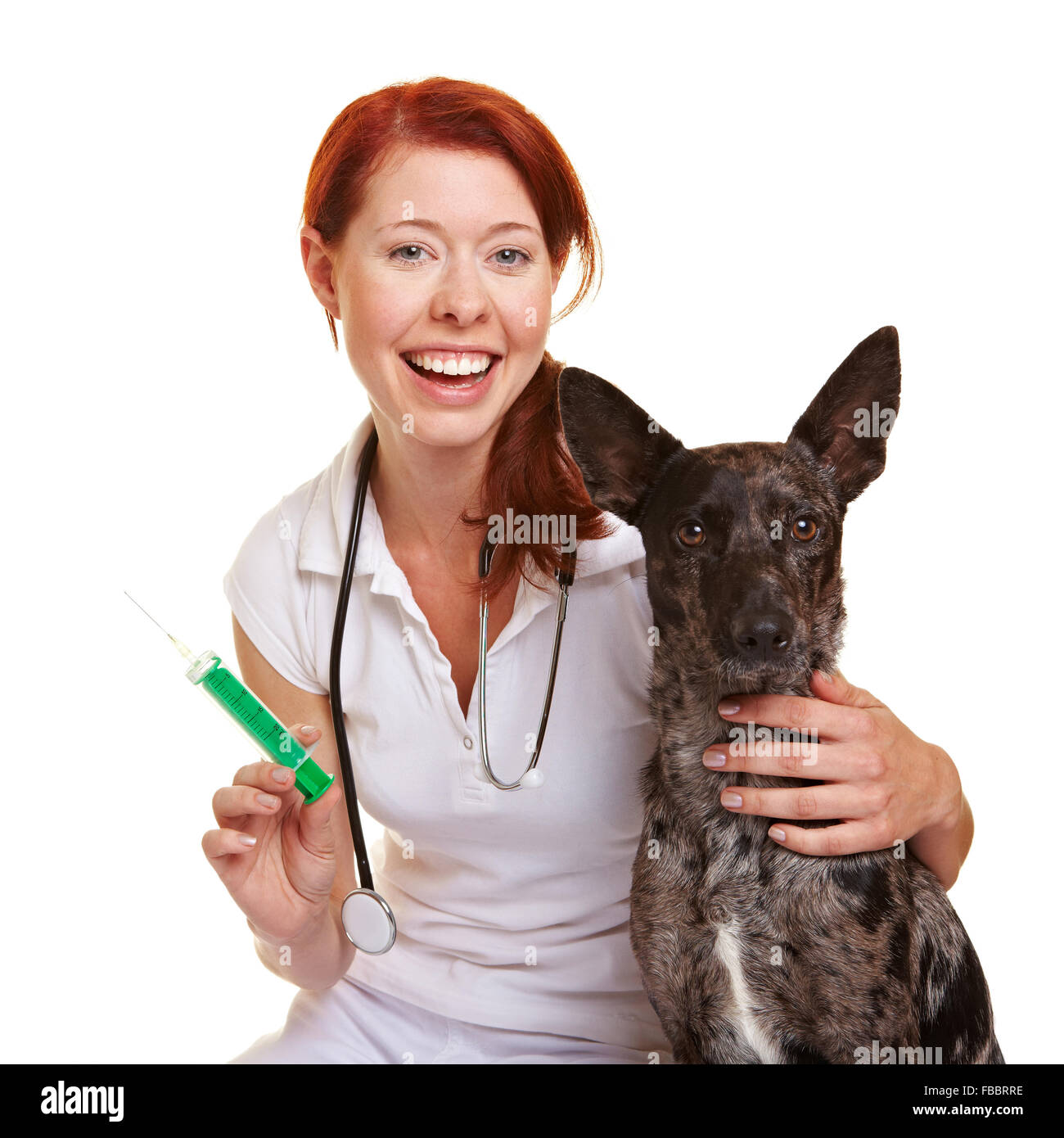 Happy female smiling veterinarian with dog and syringe Stock Photo - Alamy