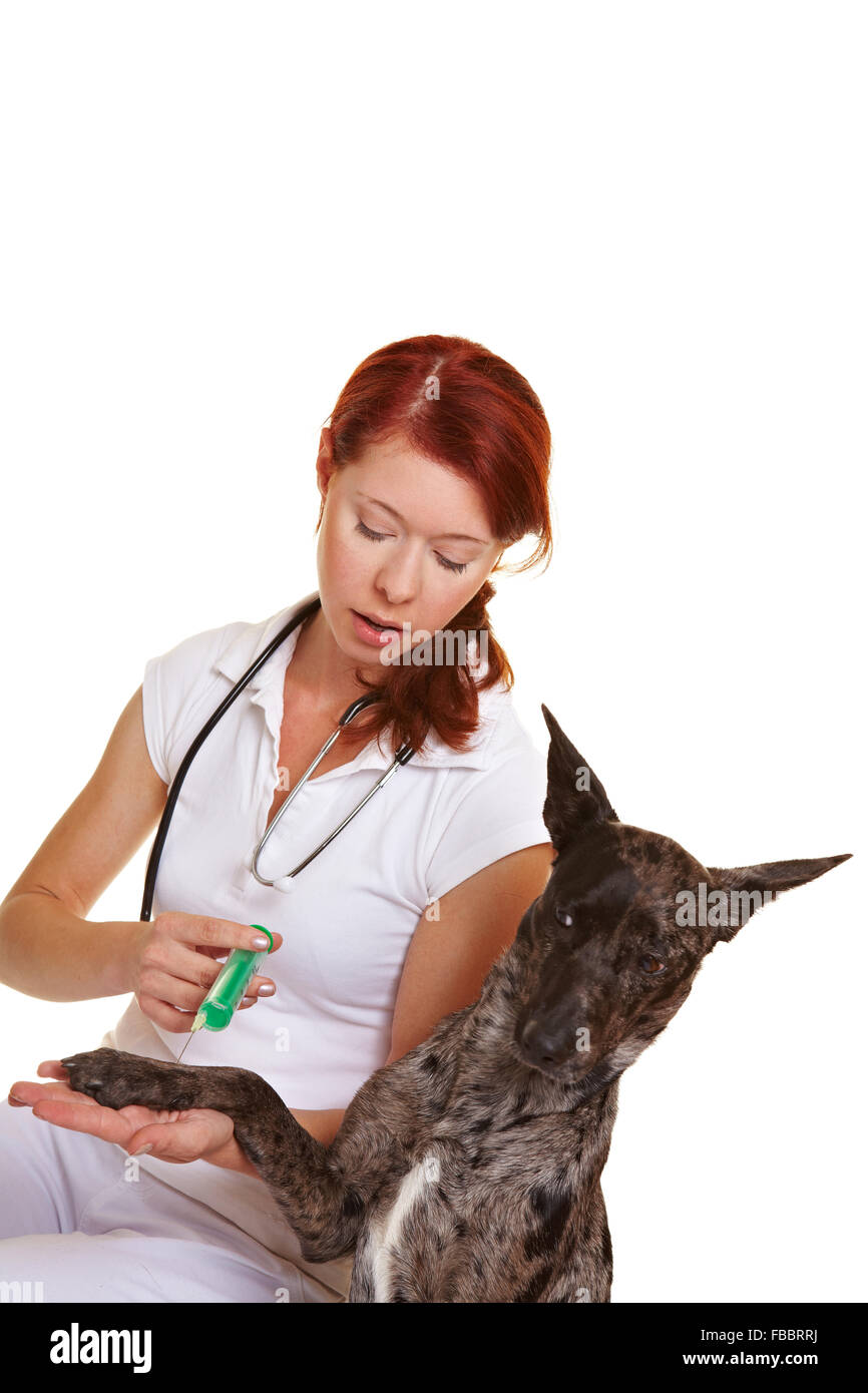 Immuniz hi-res stock photography and images - Alamy