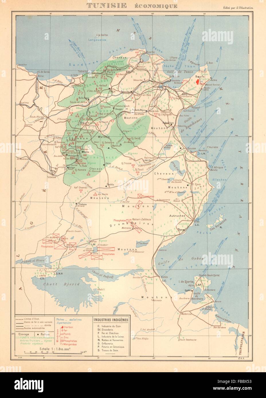 FRENCH COLONIAL TUNISIA RESOURCES. Tunisie. Economique Economic, 1938 ...