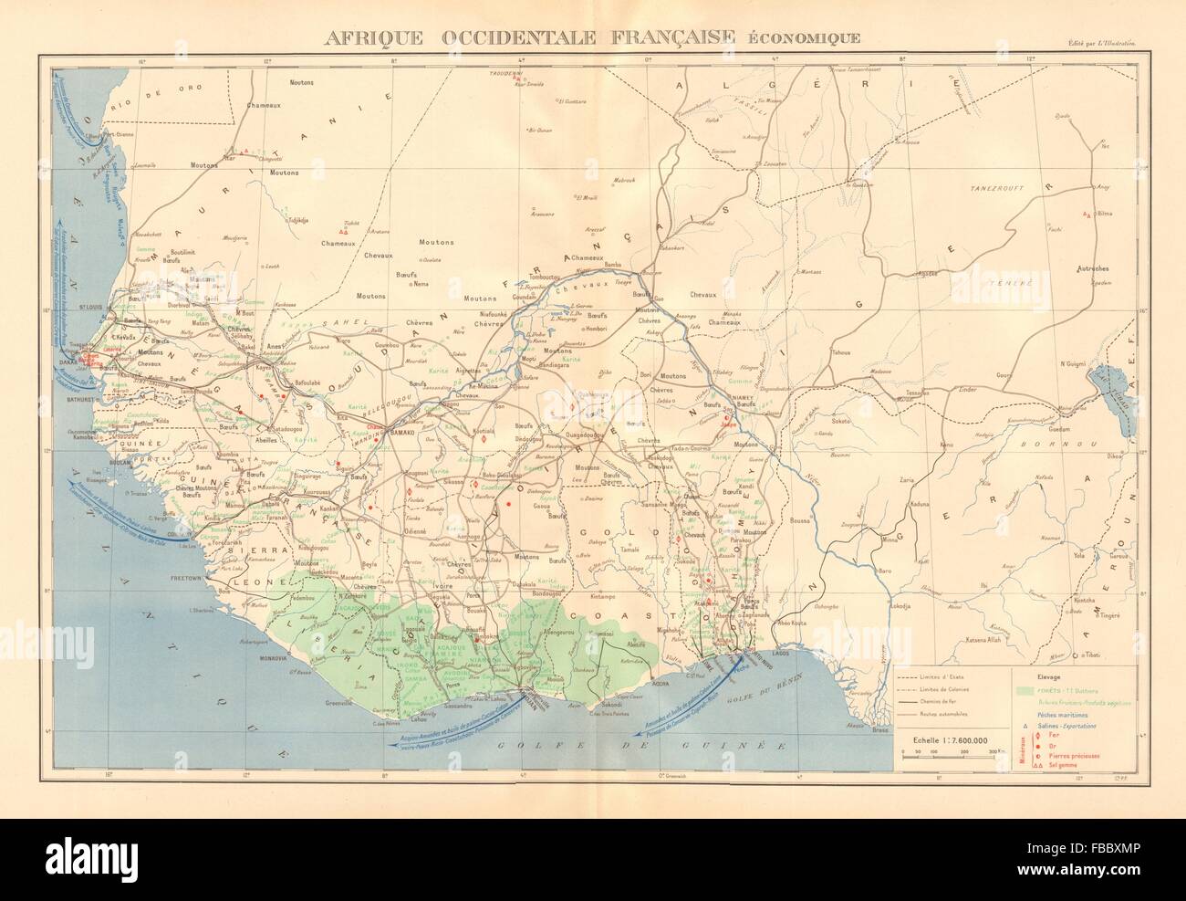 Afrique occidentale francaise hi-res stock photography and images - Alamy
