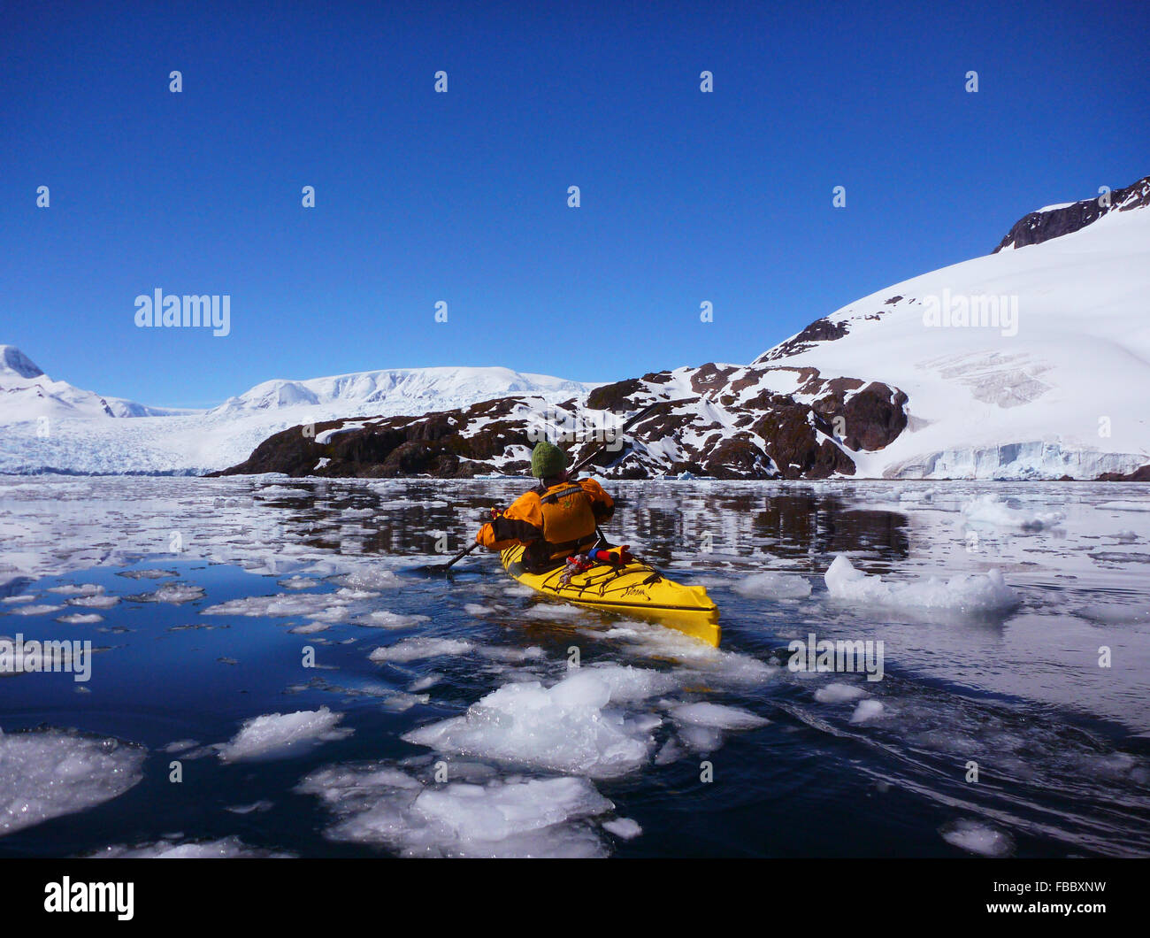Paddling through ice, Antarctic Peninsula Stock Photo - Alamy